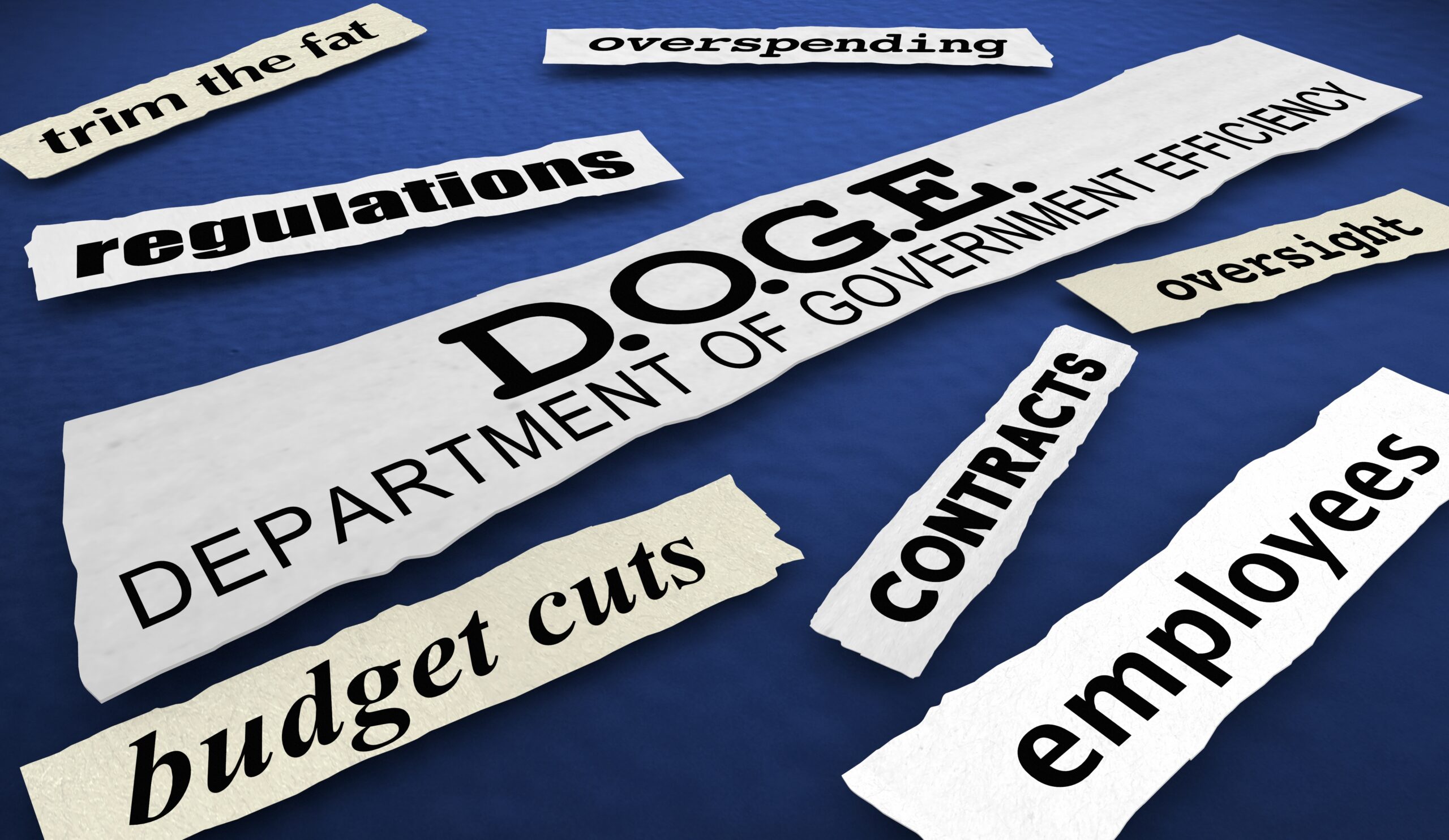 DOGE is a Double-Edged Sword for Investors… | Money & Markets